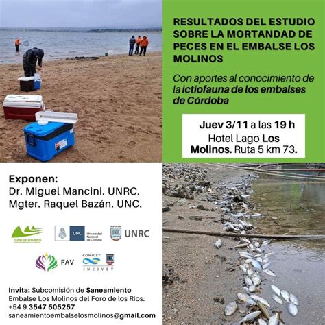 Se Determinaron Las Causas De La Mortandad De Peces Que Se Produjo En