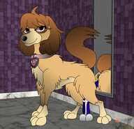 Post 3165272 K0UN1C4 Paw Patrol Skye Cockapoo
