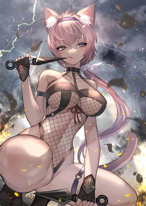 Kunoichi Cat Girl Fishnet Leotard Path Of Destruction Hitowa