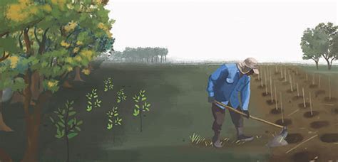 Restauración ecológica principios y prácticas Fundación Natura Colombia
