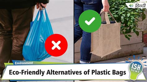 Eco Friendly Alternatives Of Plastic Bags ISH News YouTube