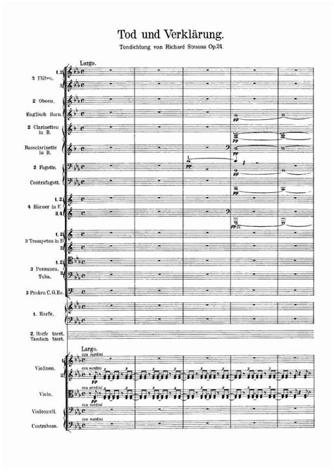 Strauss Richard Tod und Verklärung Op 24 A4 Score