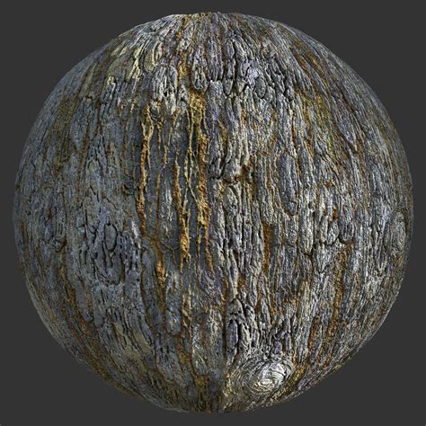 Tree Bark Texture Free PBR TextureCan