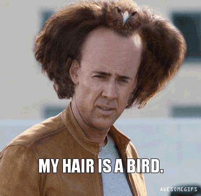 Mijn Haar Is Een Vogel GIFs Gemakkelijk GIFs Delen GIFs Nl