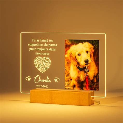 Bemaystar Cadeaux Comm Moratifs Souvenir Chien D C D Personnalis S