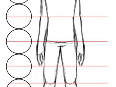 How To Draw Accurate Human Body Proportions Steps Human Body