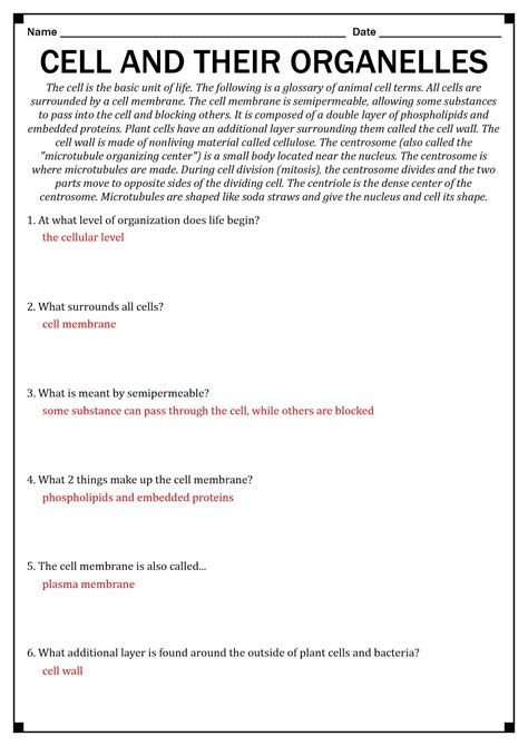 The Cell And Their Organelles Worksheet Is Shown In Red Text On White Paper
