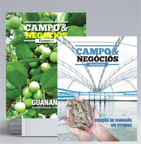 Assinatura Revista Campo Negócios Hortifrúti Florestas Impressa