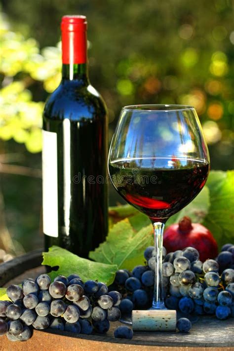 Glas Rode Wijn Met Fles En Druiven Stock Afbeelding Image Of Groen