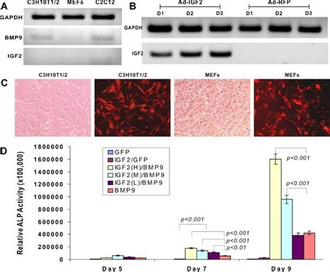 Potentiation Of Bmp Induced Early Osteogenic Marker Alp Activity In