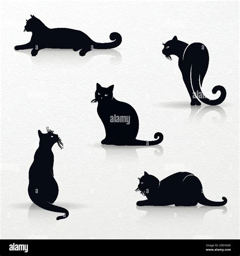 Kleine Katze Stock Vektorgrafiken Kaufen Alamy