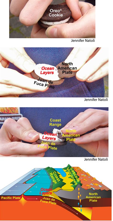 Convergent Plate BoundariesSubduction Zones Geology U S National
