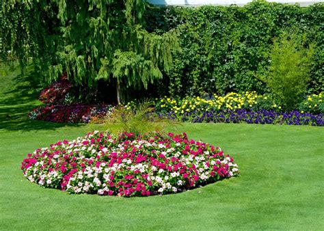 Massifs Fleuris Quand Et Comment Tailler Diviser Et Entretenir Vos