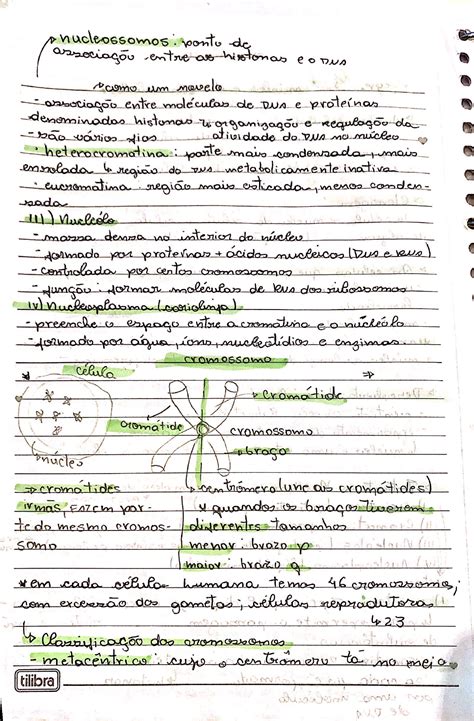 Núcleo e divisão celular Biologia