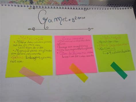 Gametog Nese Educa O Mapa Mental Estudos