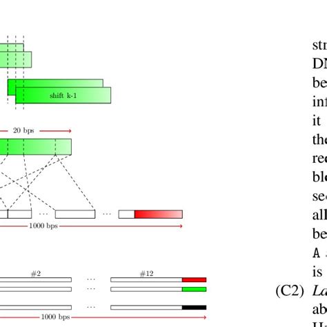 Figure A 1 Principles Of DNA Denaturation And Hybridization