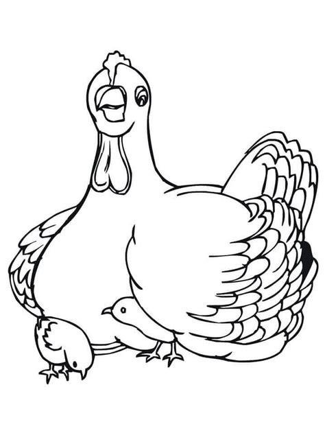 Gallina O Gallina De Guinea Para Colorear Imprimir E Dibujar The Best