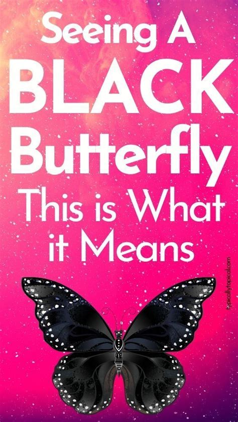 Deep Black Butterfly Spiritual Meaning Symbolism Complete Guide