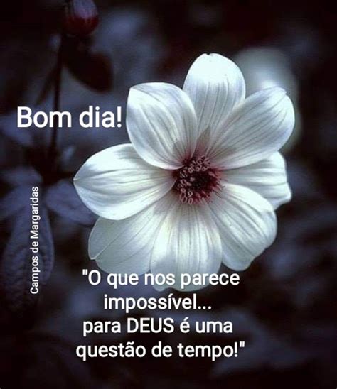 Bom Dia Imagens Bonitas E Originais Imagensbomdia Net