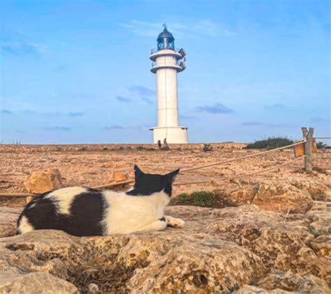 Cinco Lugares Imprescindibles De Formentera Formentera En Blog