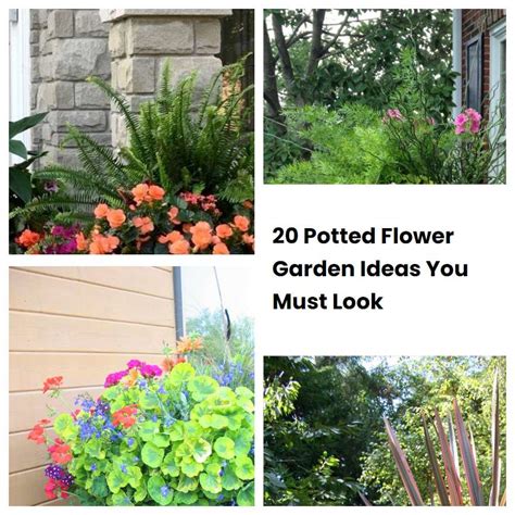 20 Potted Flower Garden Ideas You Must Look SharonSable