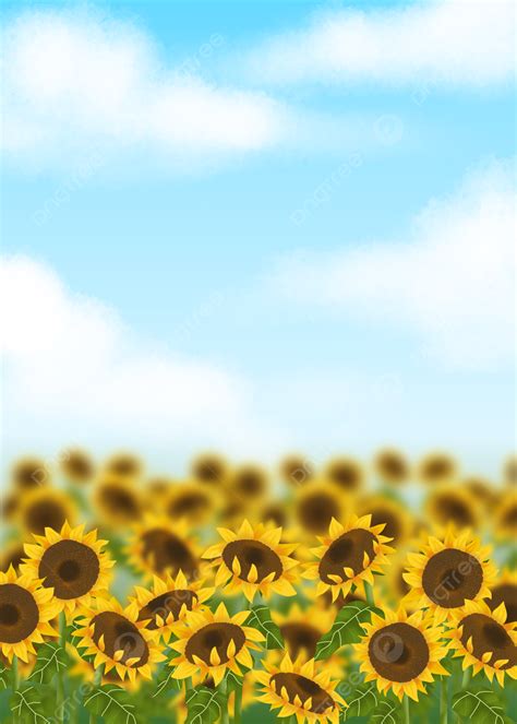El Top Imagen 99 Imagenes De Girasol Para Fondo De Pantalla Abzlocal Mx