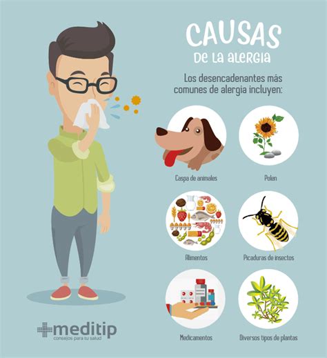Alergia causas diagnóstico y tratamiento Meditip
