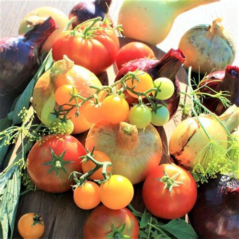 Cultivo De Hortalizas Gu A Completa Rentabilidad Y Calendario