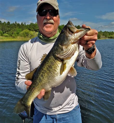 Largemouth Bass Fishing