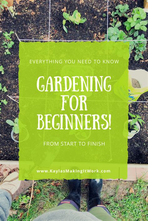Gardening For Beginners From Start To Finish Gardening For Beginners