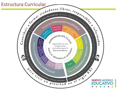 f6 Educación Primaria