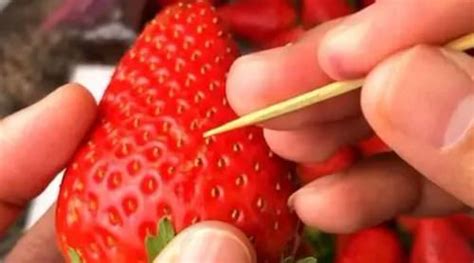 10 Genius Strawberry Growing Hacks Balcony Garden Web