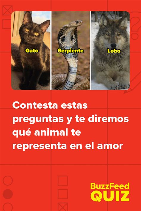 Contesta estas preguntas y te diremos qué animal te representa en el