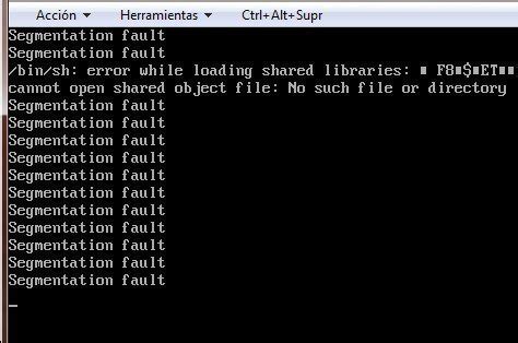 Outstanding Info About How To Avoid Segmentation Faults Commandbid31