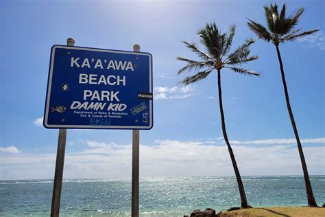 Kaaawa Beach Park Kaʻaʻawa Aloha Secrets