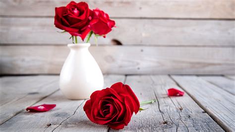 Meaning Of Red Roses 1800Flowers Petal Talk