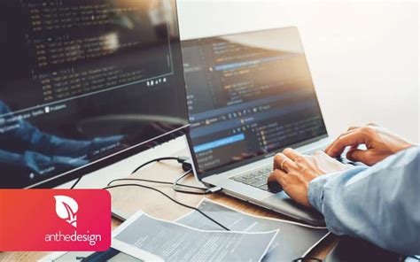 Devenir D Veloppeur Web Tudes Et Comp Tences
