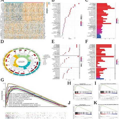 Functional Analysis Of GPR176 In GC A Heatmap Of Differential Genes