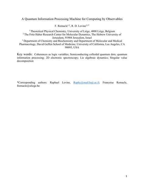 pdf a quantum information processing machine for computing by observables