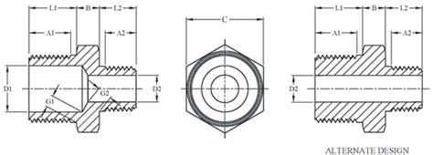 ASTM A351 Stainless Steel Cast Fittings Threaded Hex Reducing Nipple Head