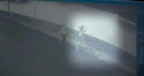 Homem é levado para delegacia após arremessar cachorro em Taubaté SP
