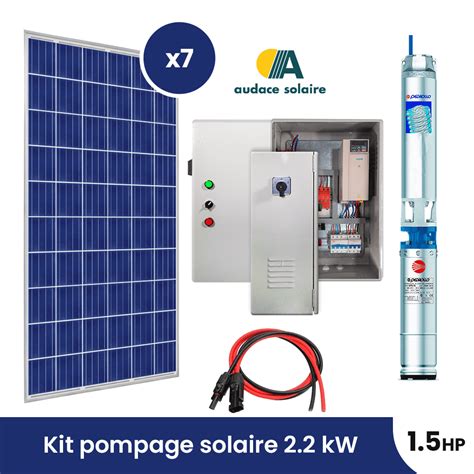 Kit Pompage Solaire 2 2Kw 1 960Wc Avec Pompe Immergee AC Pedrollo 1 5HP