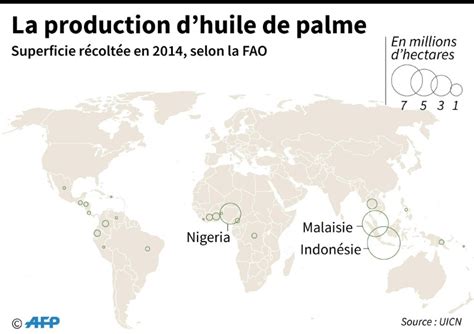 L Huile De Palme Peut Elle Tre Durable Une R Union Cruciale Paris
