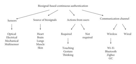 taxonomy for biosignal based continuous authentication systems download scientific diagram