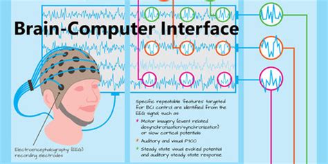 behind the scenes of noninvasive brain computer interfaces a review of electroencephalography