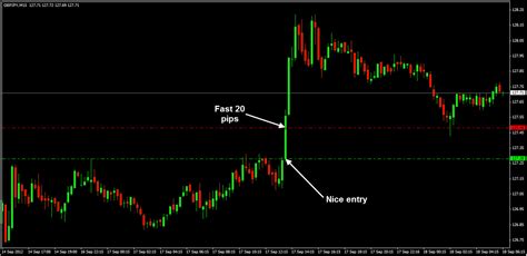 20 Pips Is How Much Money In Forex Trading Unlimited Demo Account
