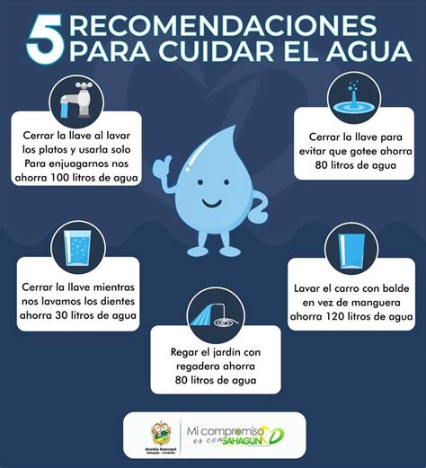Cinco Recomendaciones Para Cuidar El Agua NBKomputer