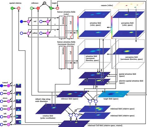 figure 1 from a neural dynamic model parses object oriented actions semantic scholar