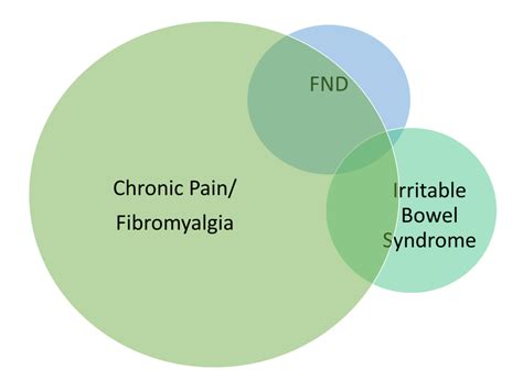 Fnd And Other Functional Disorders Functional Neurological Disorder Fnd