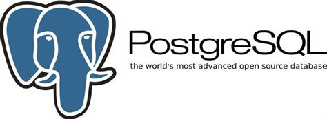 docker 10：docker安装postgresql 阿里云开发者社区